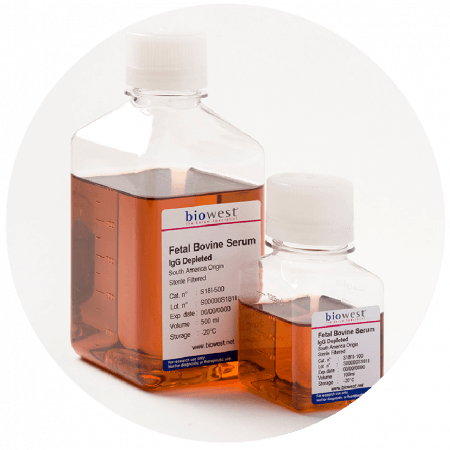 Biowest | Your best choice for Animal Serum | Biowest | Your best ...