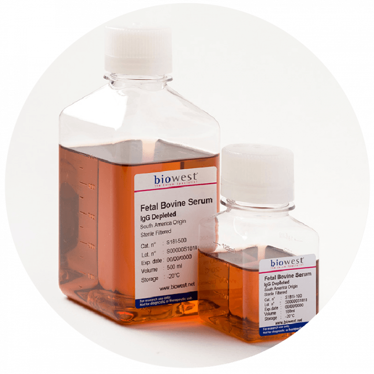 Biowest | Your best choice for Animal Serum | Biowest | Your best ...