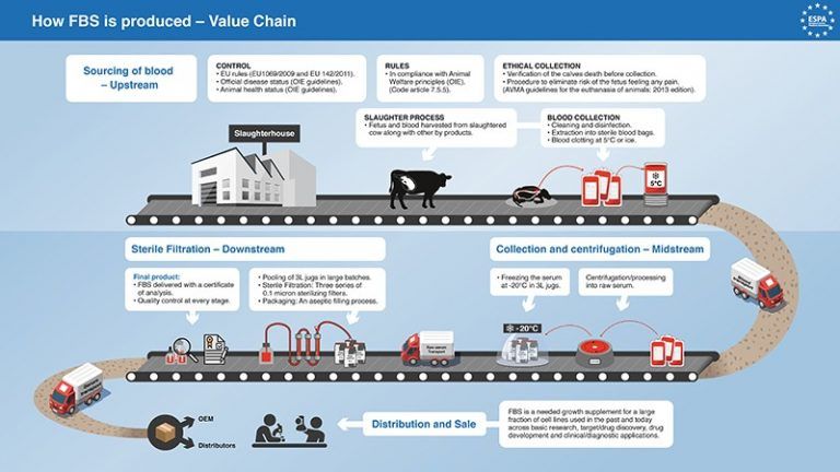 Our serum | Biowest | Your best choice for animal serum