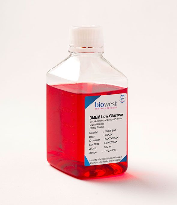 DMEM Low Glucose w/ L-Glutamine w/ Sodium Pyruvate w/ 25 mM Hepes ...