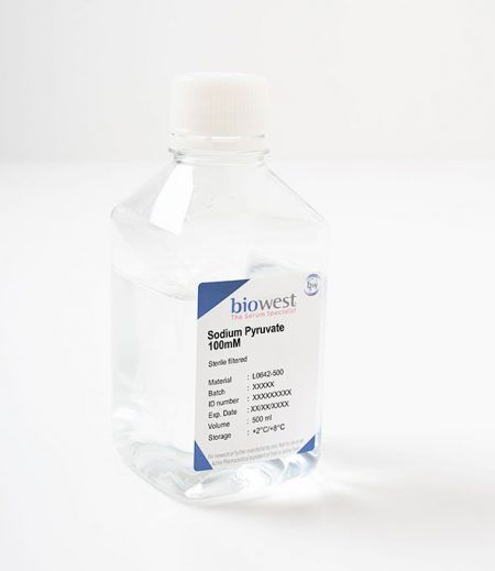 Sodium Pyruvate 100 mM - L0642 - Biowest | Your best choice for animal ...