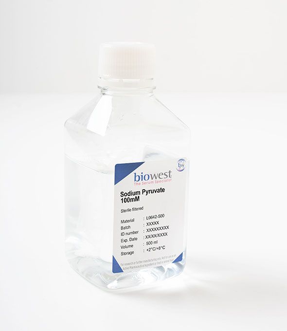 Sodium Pyruvate 100 mM - L0642 - Biowest | Your best choice for animal ...