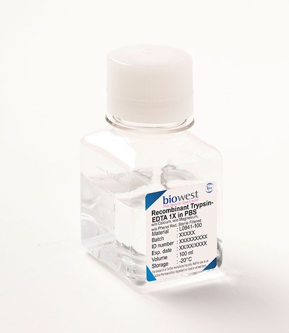 L0941 - Trypsine recombinante - EDTA 1X dans du PBS sans Calcium sans ...