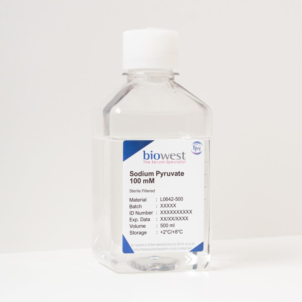 Sodium Pyruvate 100 mM - L0642 | Biowest | Your best choice for animal ...
