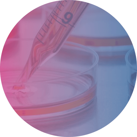 DMEM High Glucose | Biowest | Your best choice for animal serum