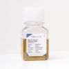 Bovine Serum Albumin (BSA) 30% Liquid - A0296 | Biowest | Your best ...